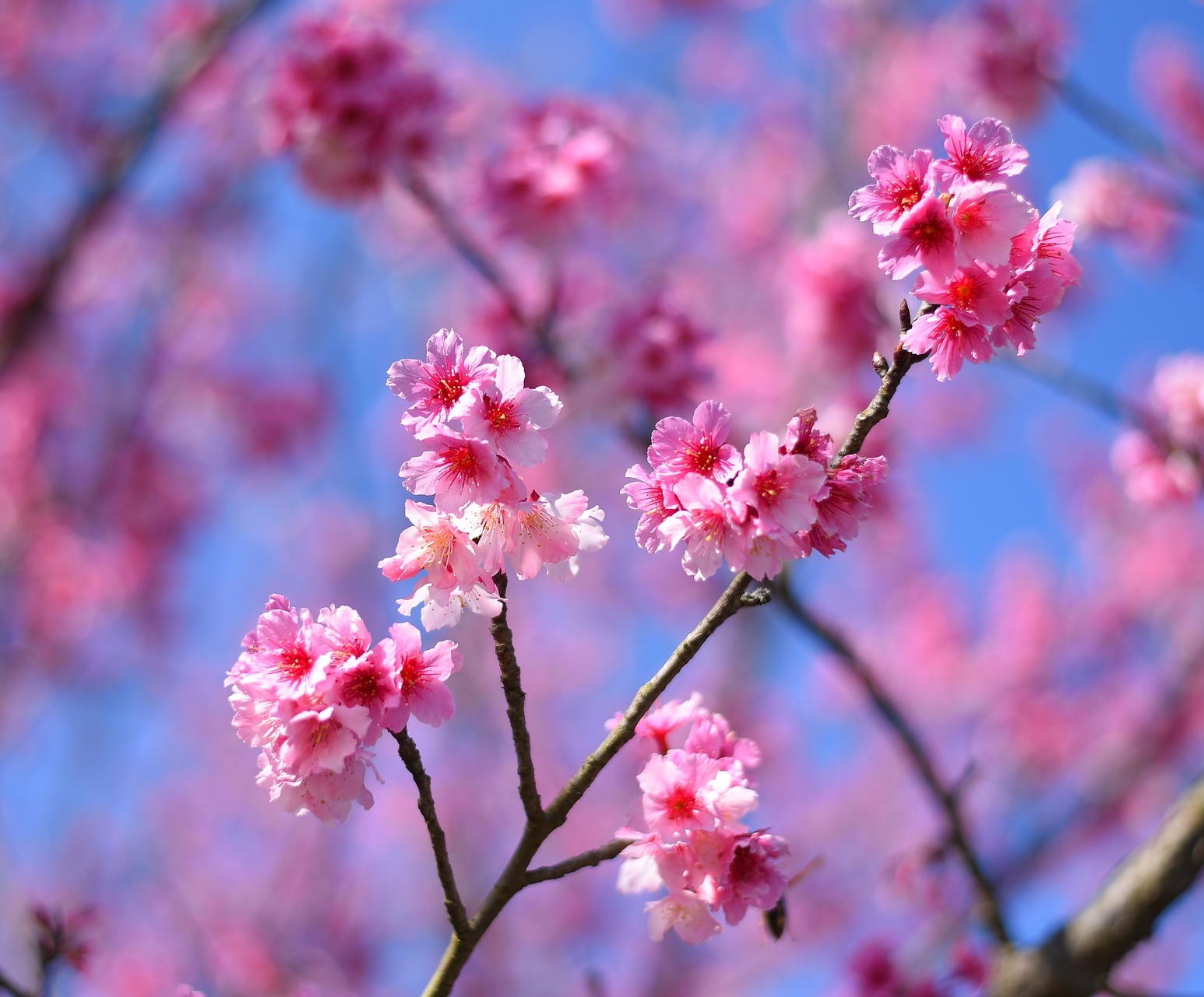 Ralf-Rüdiger Okudera, Autor bei Jüdische Welt